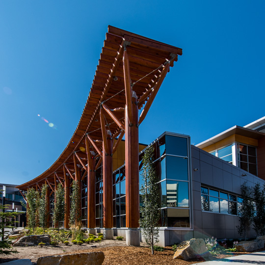 Mass Timber Building Construction Market Maple Reinders 